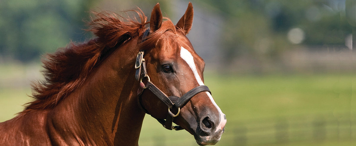 Products – KER Targeted Nutrition Australia