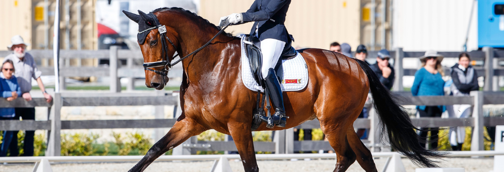 Wellness – KER Targeted Nutrition Australia