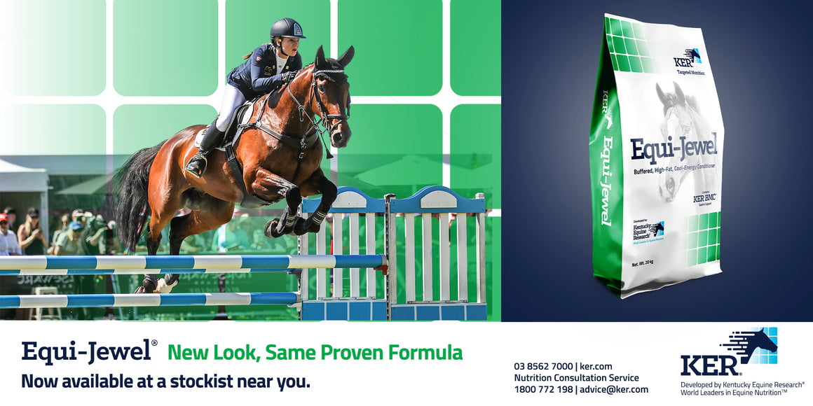 Equine Health and Nutrition Supplements for Optimal Performance – KER ...