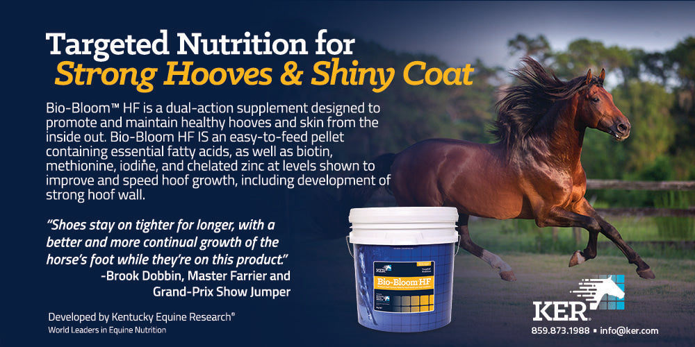 Equine Health and Nutrition Supplements for Optimal Performance – KER ...