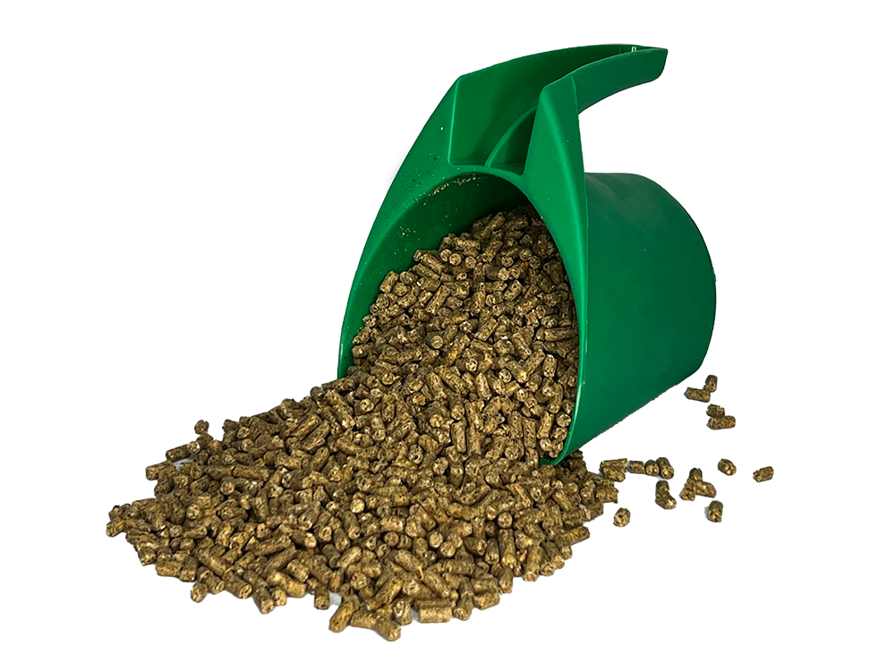 KER Equi-Jewel Scoop – KER Targeted Nutrition Australia