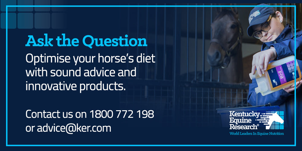Equine Health and Nutrition Supplements for Optimal Performance – KER ...