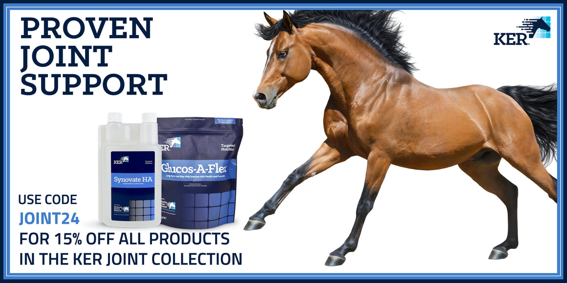 Equine Health and Nutrition Supplements for Optimal Performance – KER ...